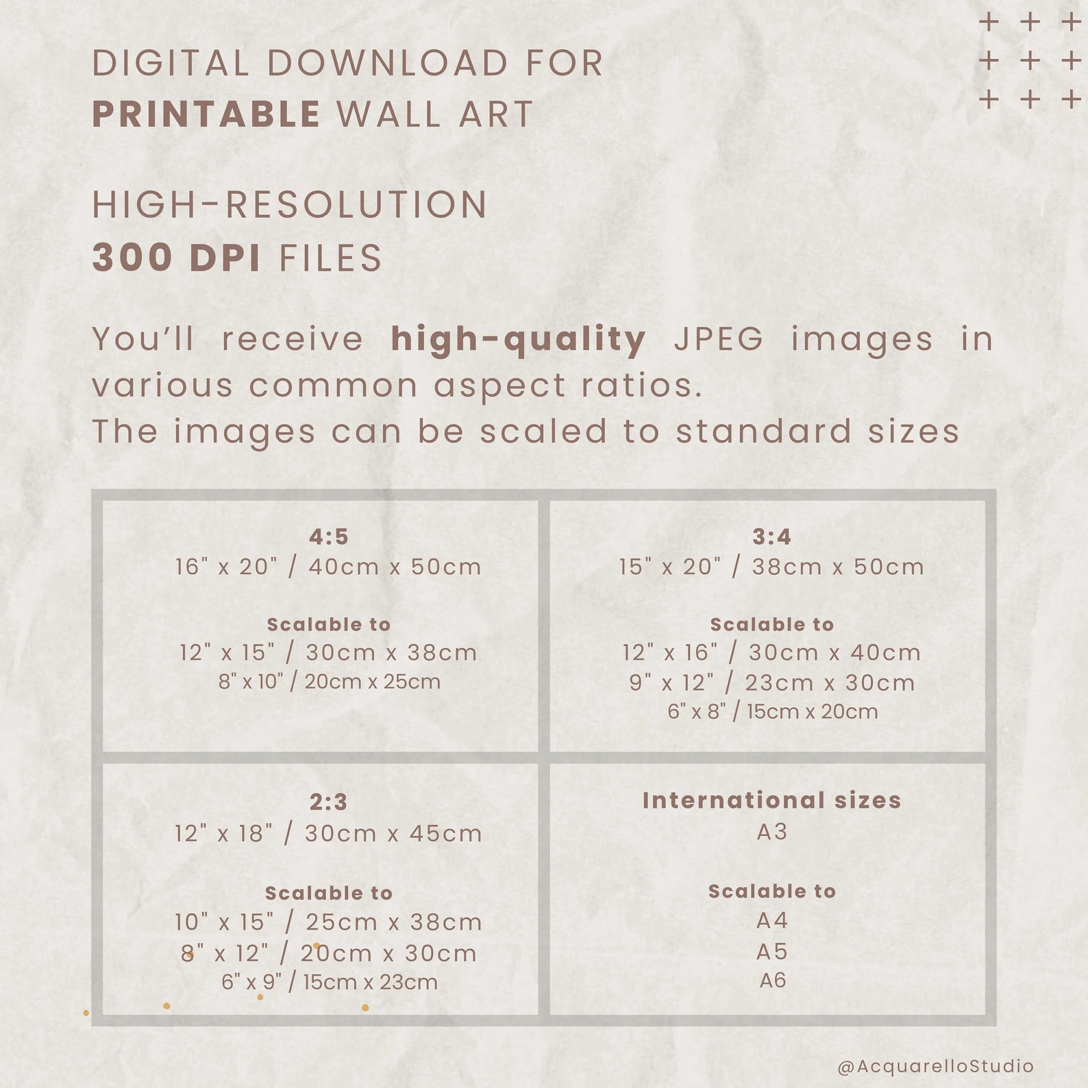 Pedro Dancing Raccoon Poster Dancing Raccoon Meme Print Raccoon Dancing ...