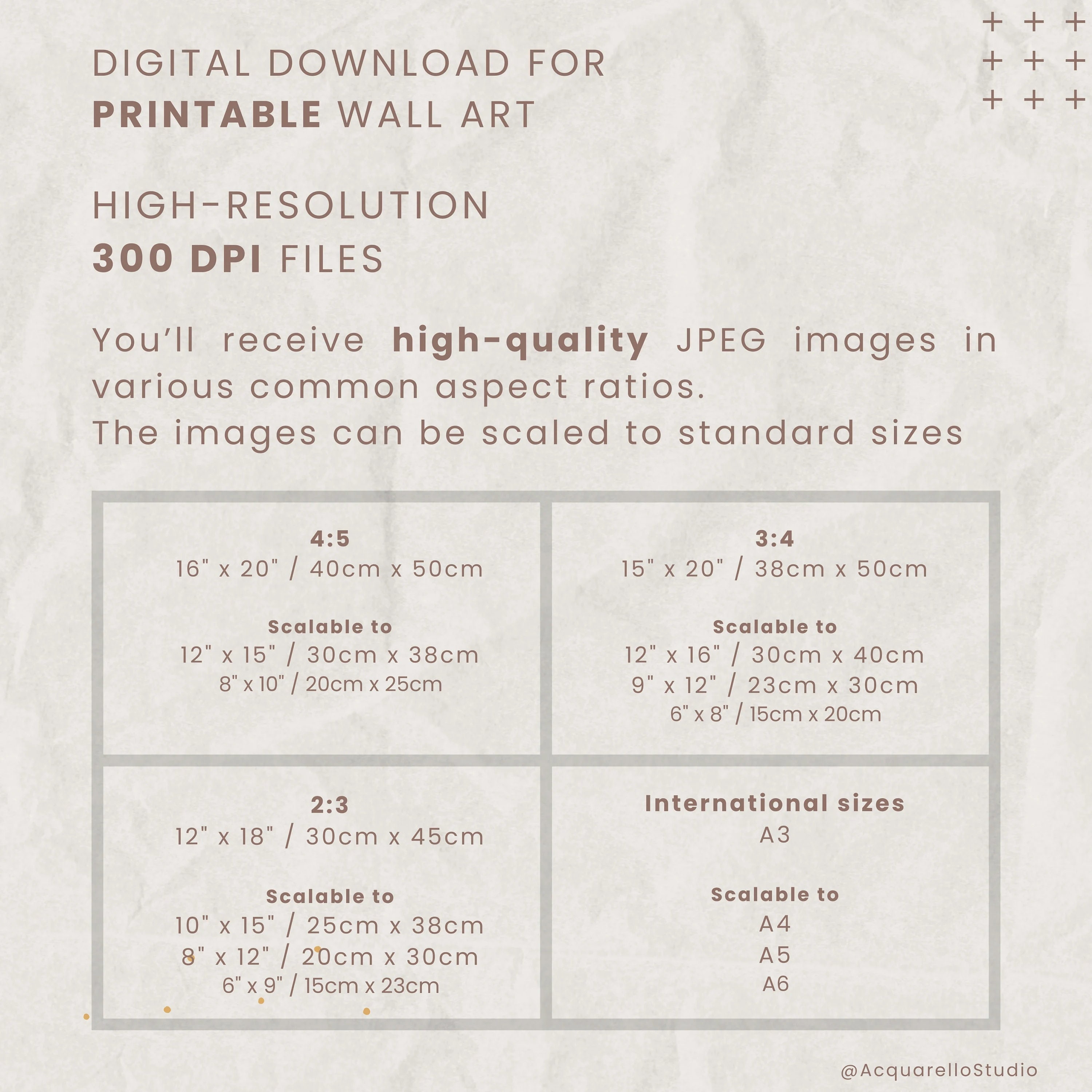 Pedro Dancing Raccoon Poster Dancing Raccoon Meme Print Raccoon Dancing ...