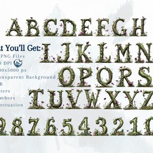 Cottagecore Fantasy Themed Letters and Numbers Clipart - Etsy