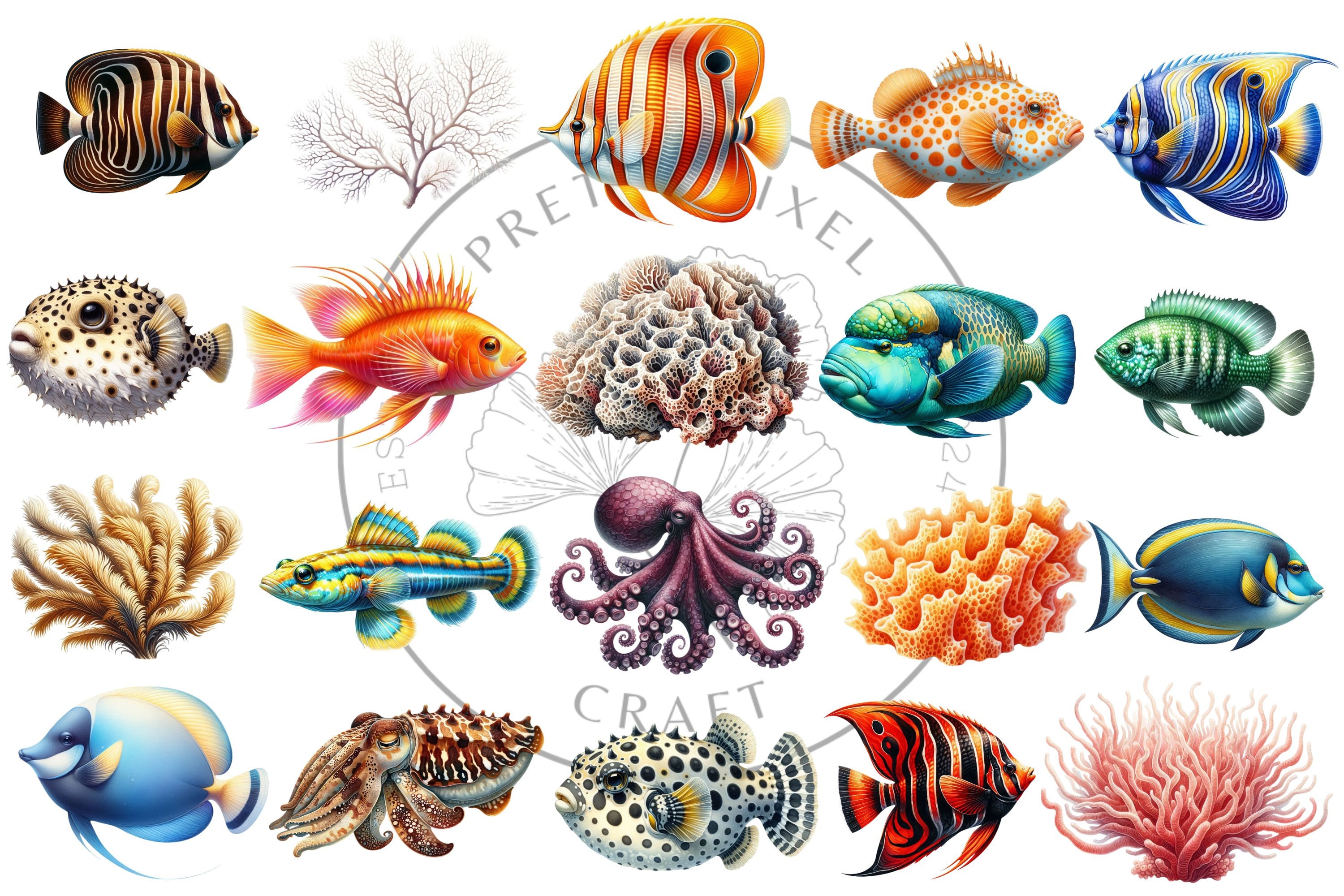 Tropical Fish Clipart Set: Coral Reef PNG Graphics (digital Download ...