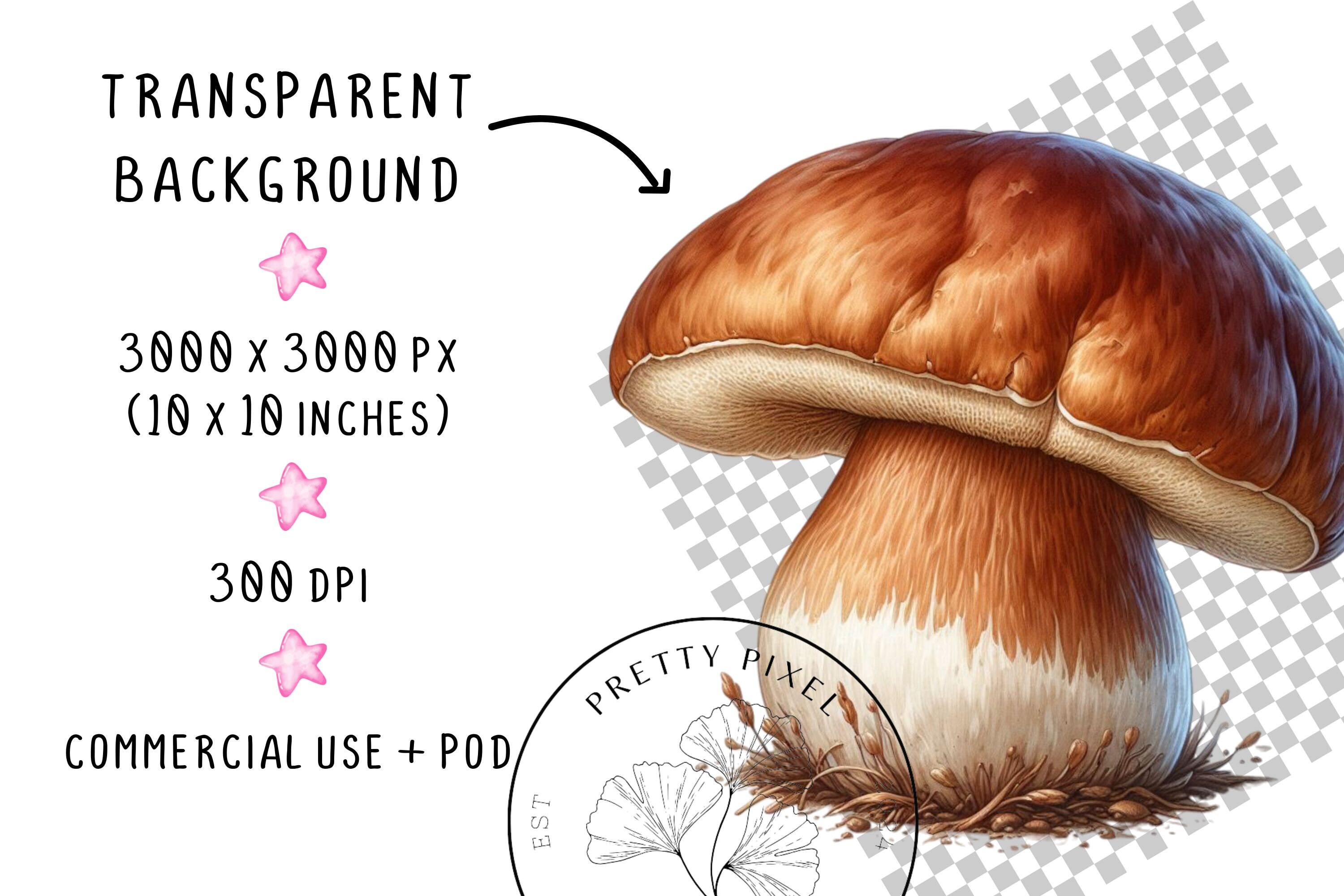 Mushroom Clipart: Realistic Forest Fungi PNG Set (digital Download) - Etsy