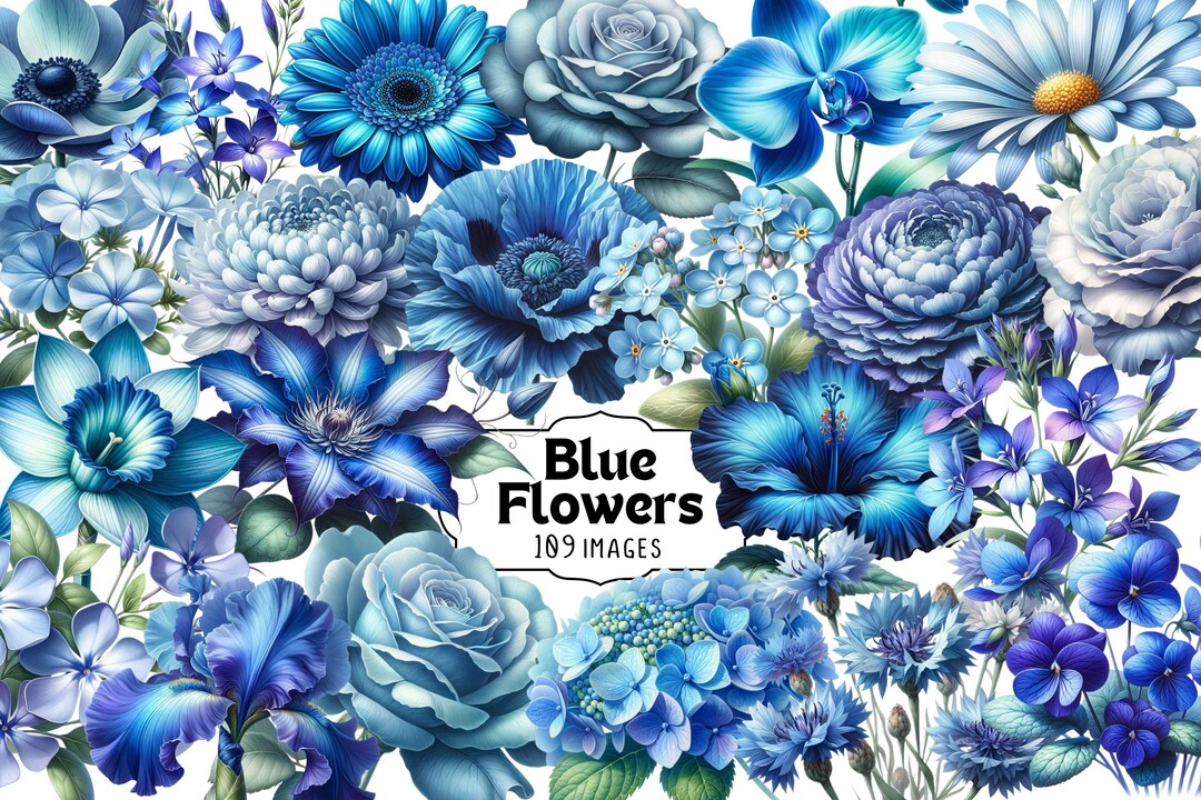 Blue Watercolor Flower Clipart: Botanical PNG Images (digital Download ...