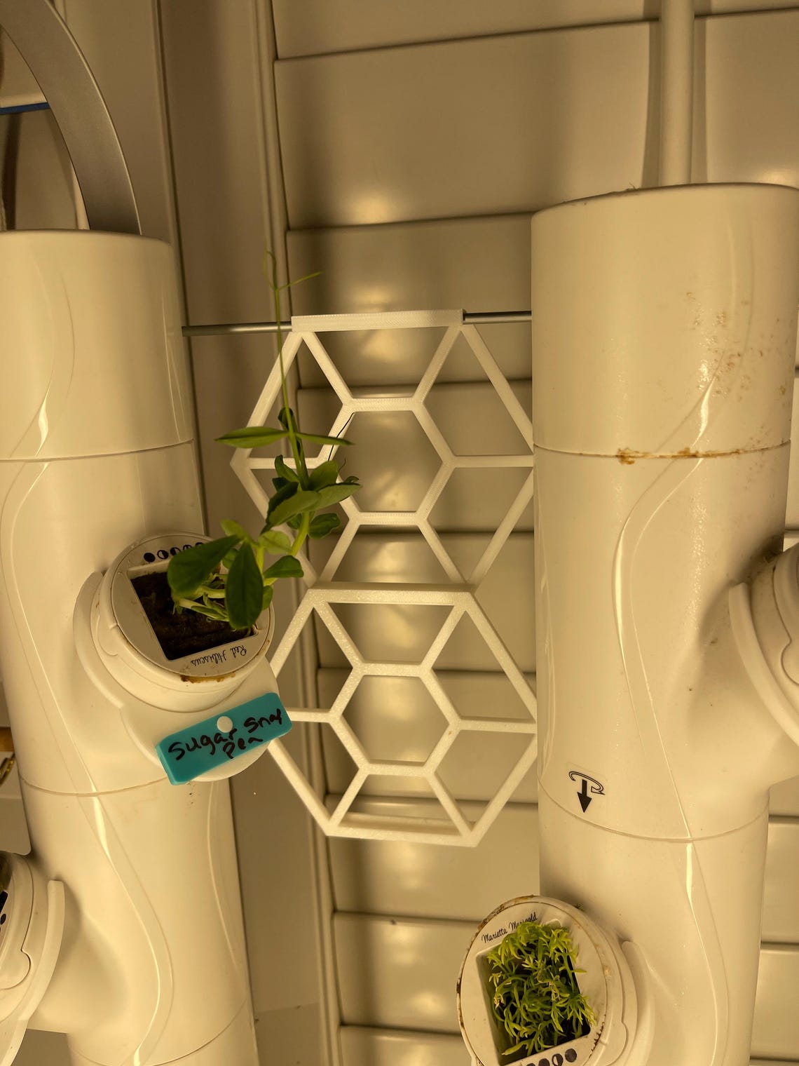 Hex Trellis for Vertical Garden Ed. V2 - Etsy
