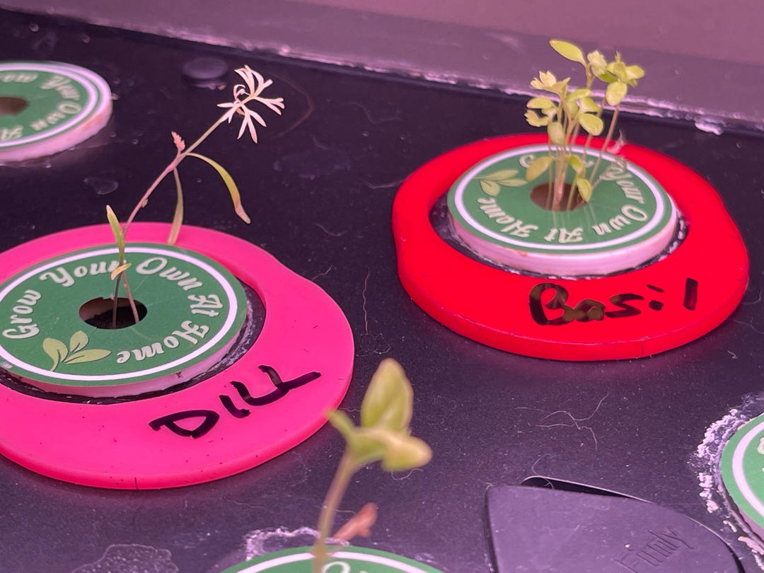 Hydro Labels - AG Compatible - Multi Color - Etsy