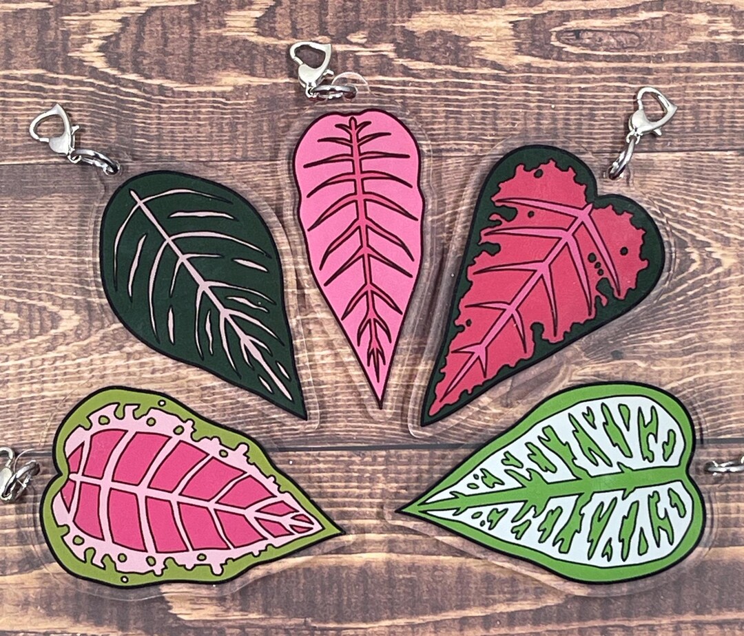 Hand-drawn Acrylic Leaf Keychains/charms – 5 Unique Designs - Etsy