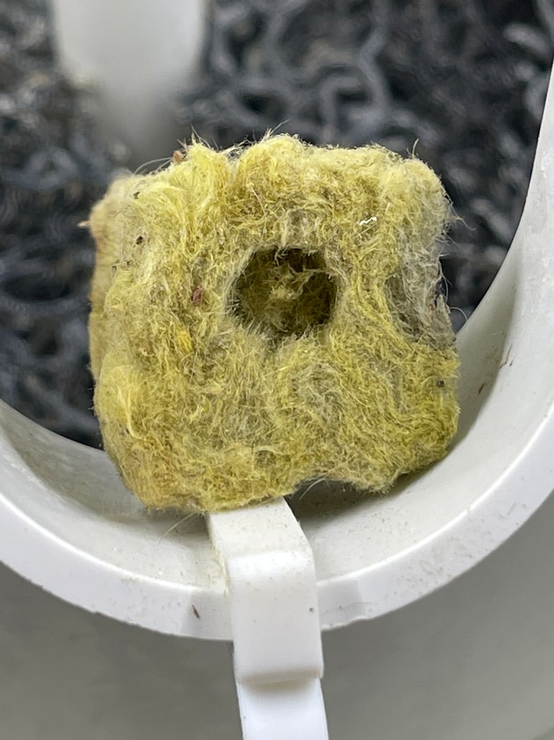 Tower Garden (juice Plus) Clips for Grow Sponges - Pack of 10 - Etsy