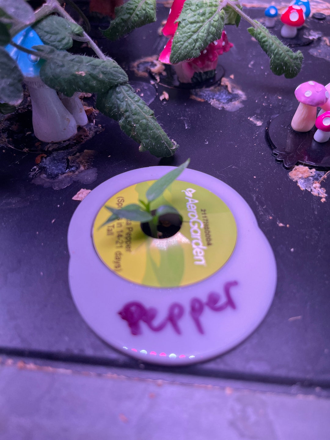 Hydro Labels - Aerogarden Compatible - Etsy