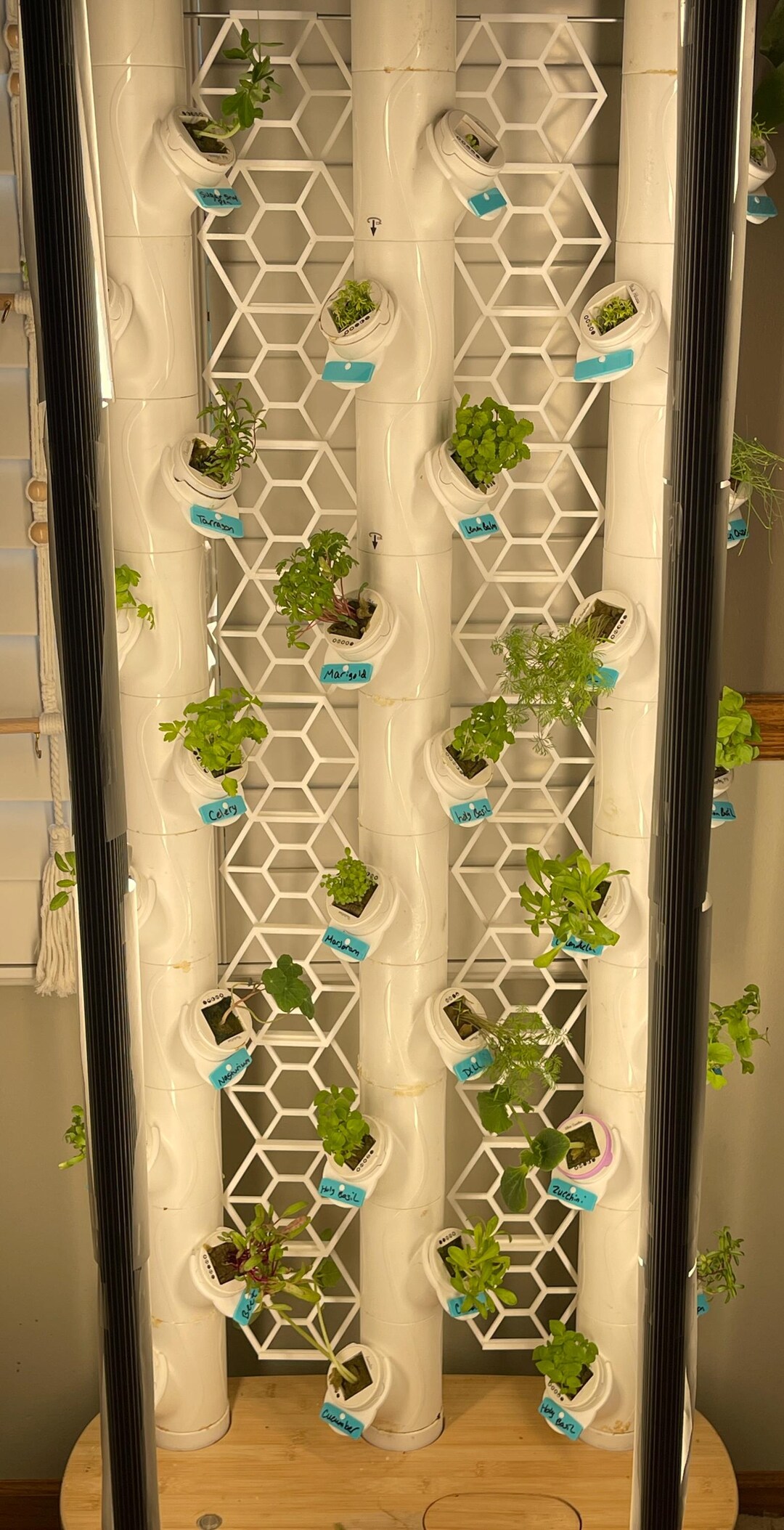 Hex Trellis for Vertical Garden Ed. V2 - Etsy
