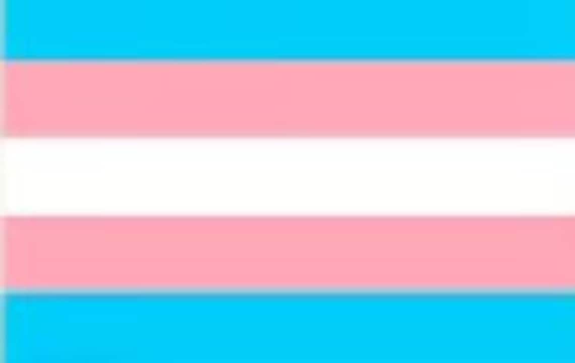 PRE-ORDER Jumbo Pride Flag - Etsy