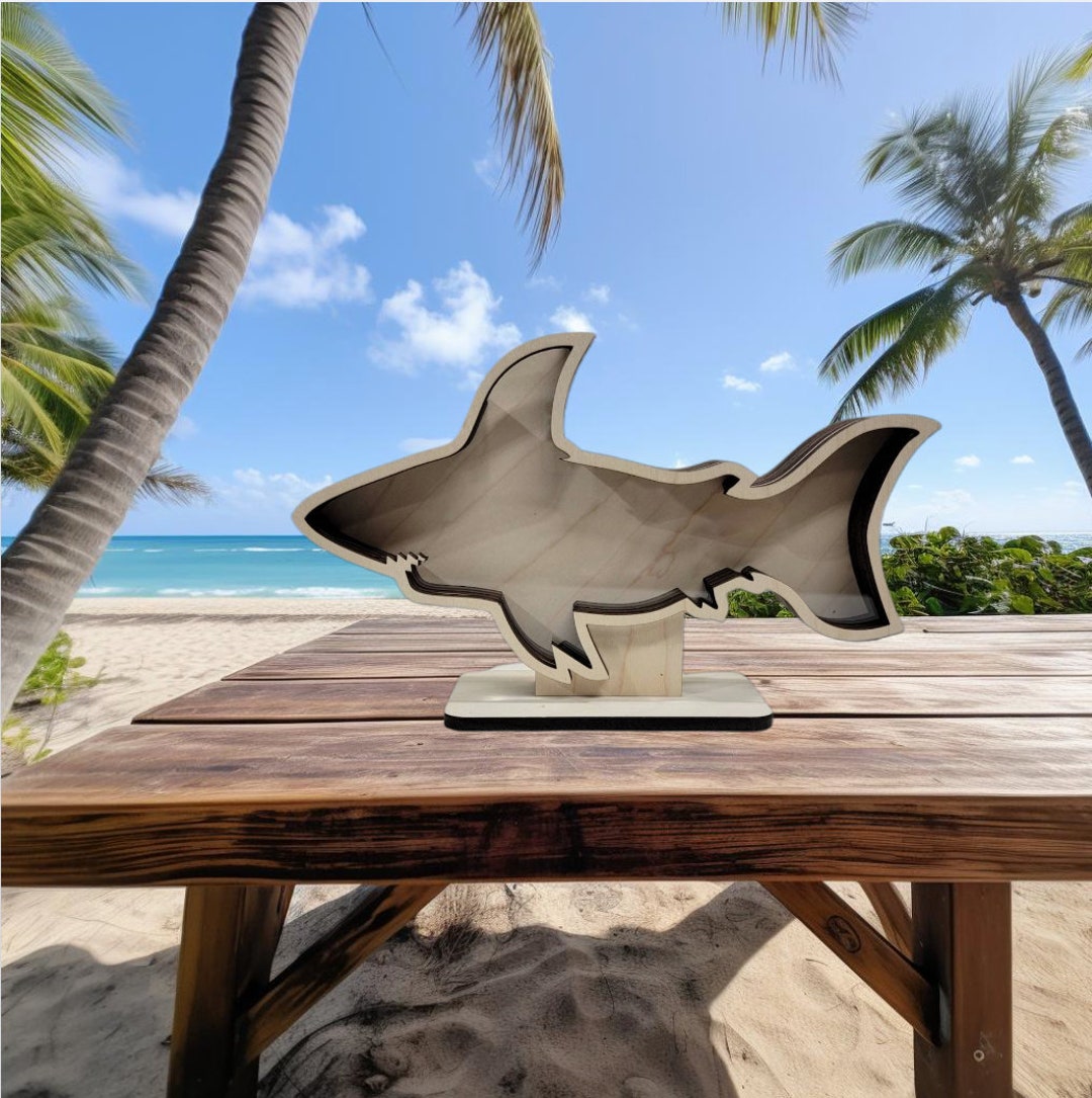 Shark Tooth Shadow Box.seashell Display Box.seashell Shadow Box ...