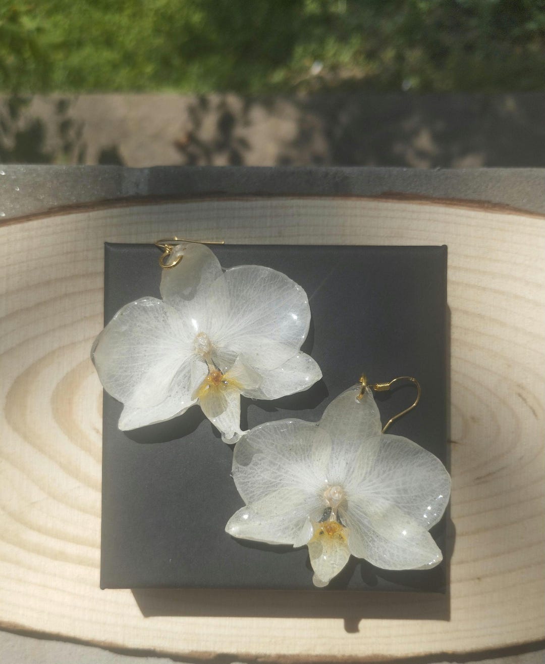 White Phalaenopsis Orchids in Resin - Etsy