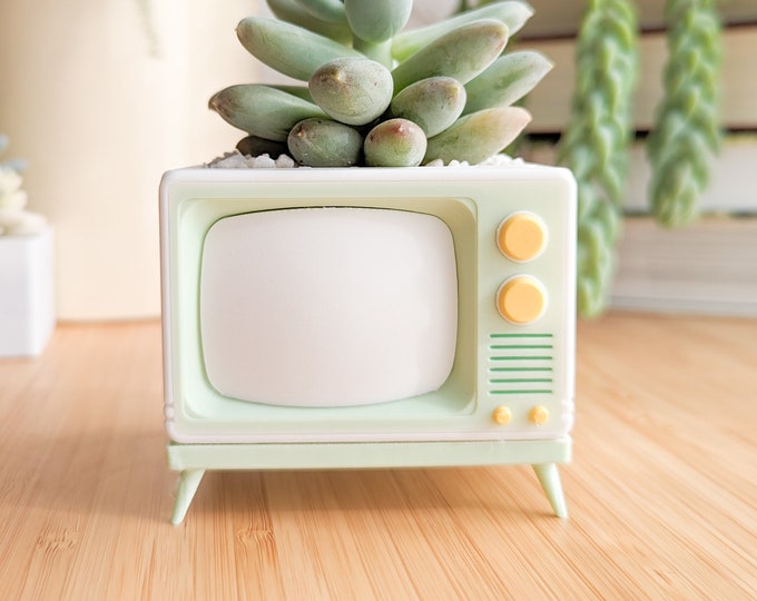 Retro TV Succulent Planter - Lemon Lime | Cute Gift for Plant Lovers ...