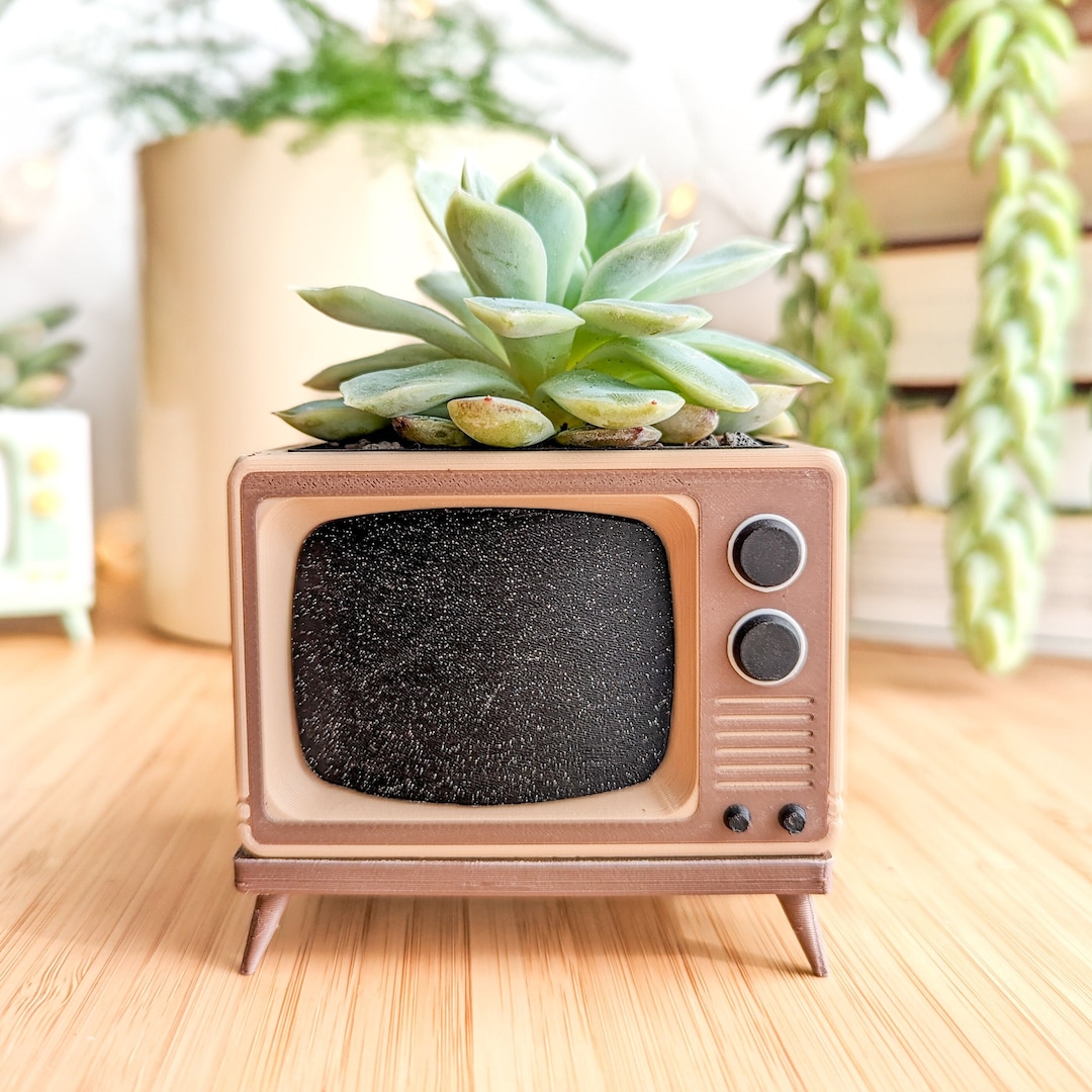 Retro TV Succulent Planter Milk Tea Cute Gift for Plant Lovers ...