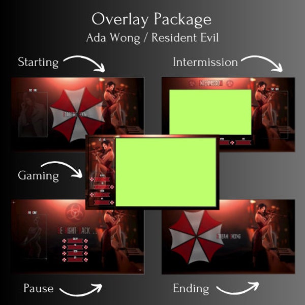 Resident Evil Stream Overlay - Etsy