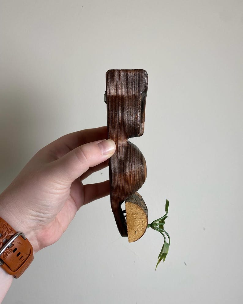 Mid-century Modern Carved Burnt Wood Owl on Log Wall Hanging - Etsy