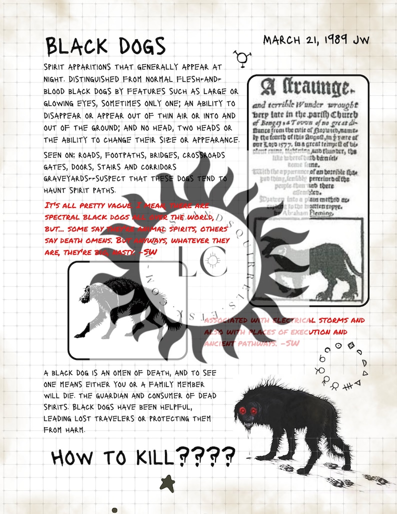 First Set of Journal Pages PLUS NEWSPAPER Article, EXTRA Inserts and 2 ...
