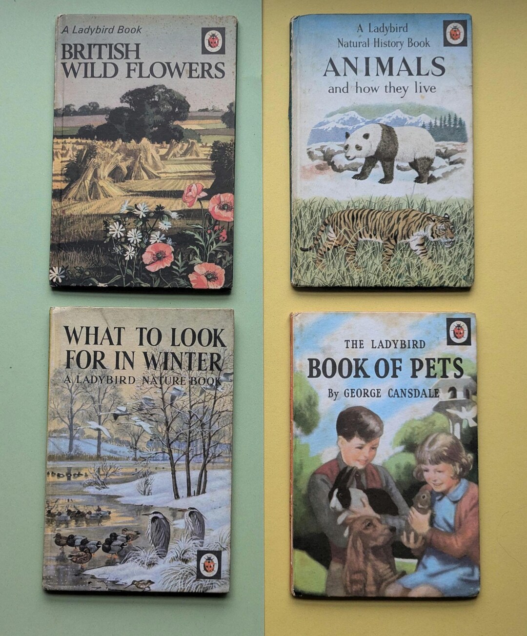 Ladybird Classic Books Series of Natural World - Etsy