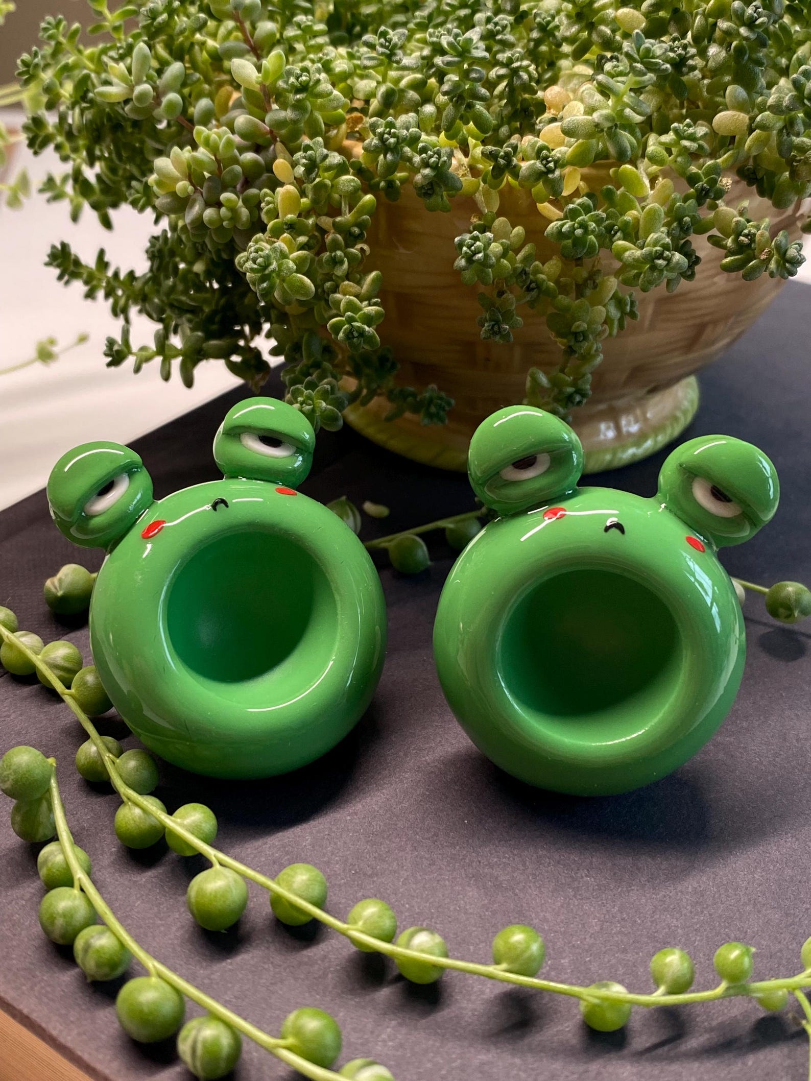 Dazed Frog Plant Pot, Pixie Succulent Pot, Mini Pot, Animal Themed ...