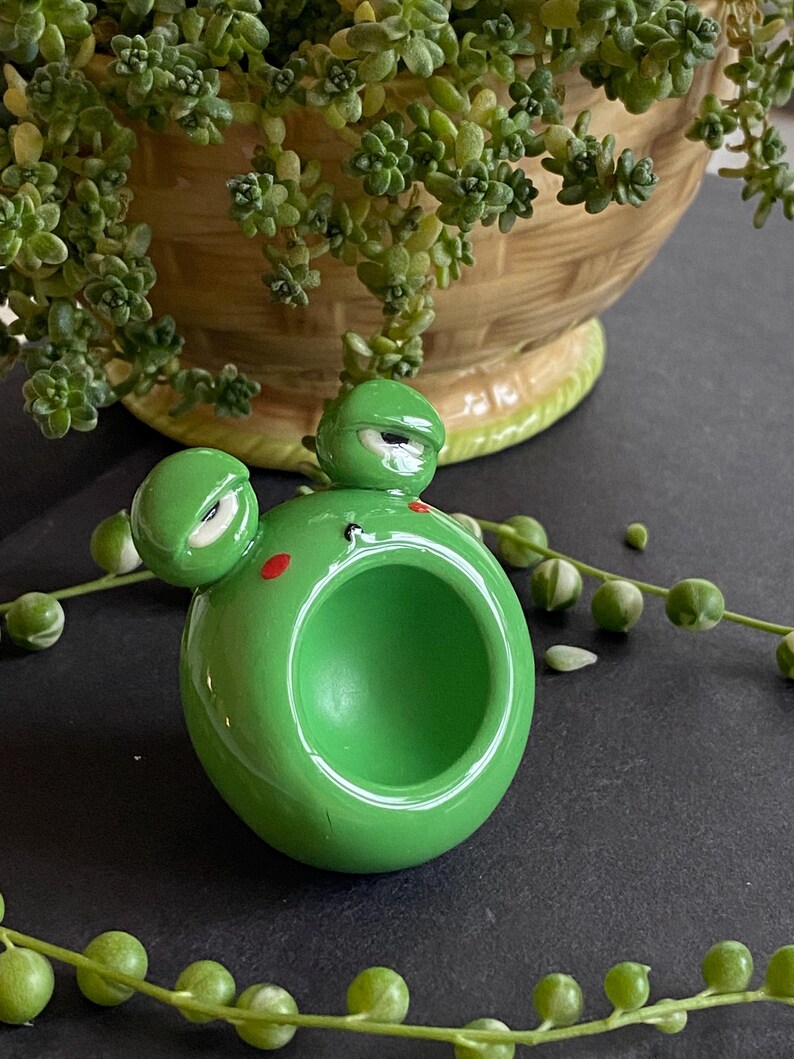 Dazed Frog Plant Pot, Pixie Succulent Pot, Mini Pot, Animal Themed ...