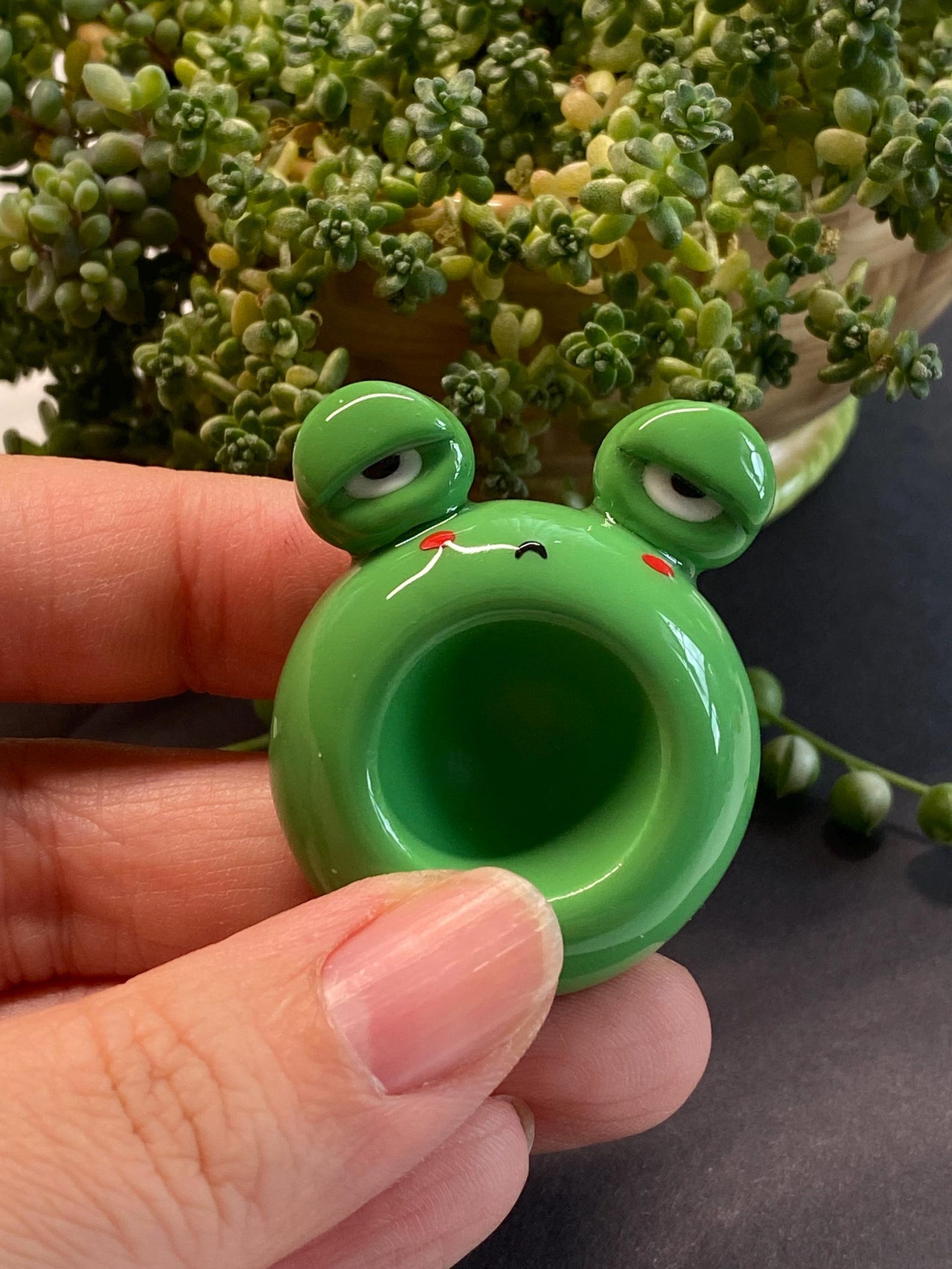 Dazed Frog Plant Pot, Pixie Succulent Pot, Mini Pot, Animal Themed ...