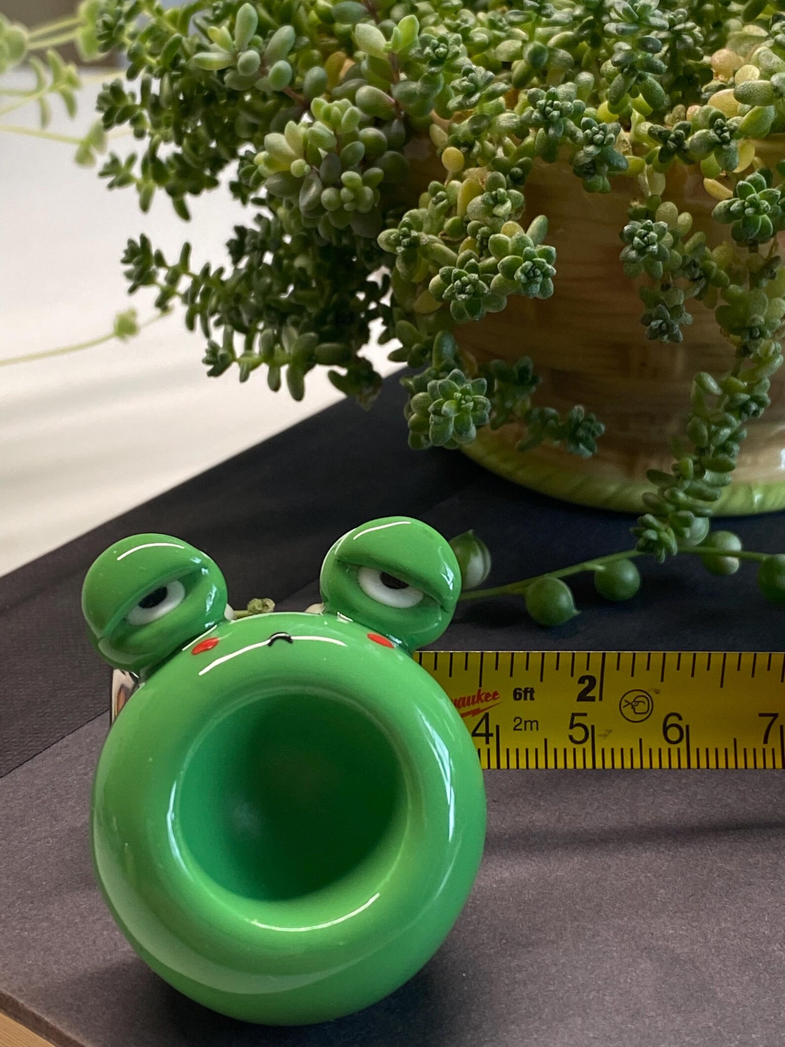 Dazed Frog Plant Pot, Pixie Succulent Pot, Mini Pot, Animal Themed ...