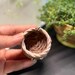 Rope Weaved Basket Plant Pot, Small Succulent Pot, Polymer Clay Pot ...