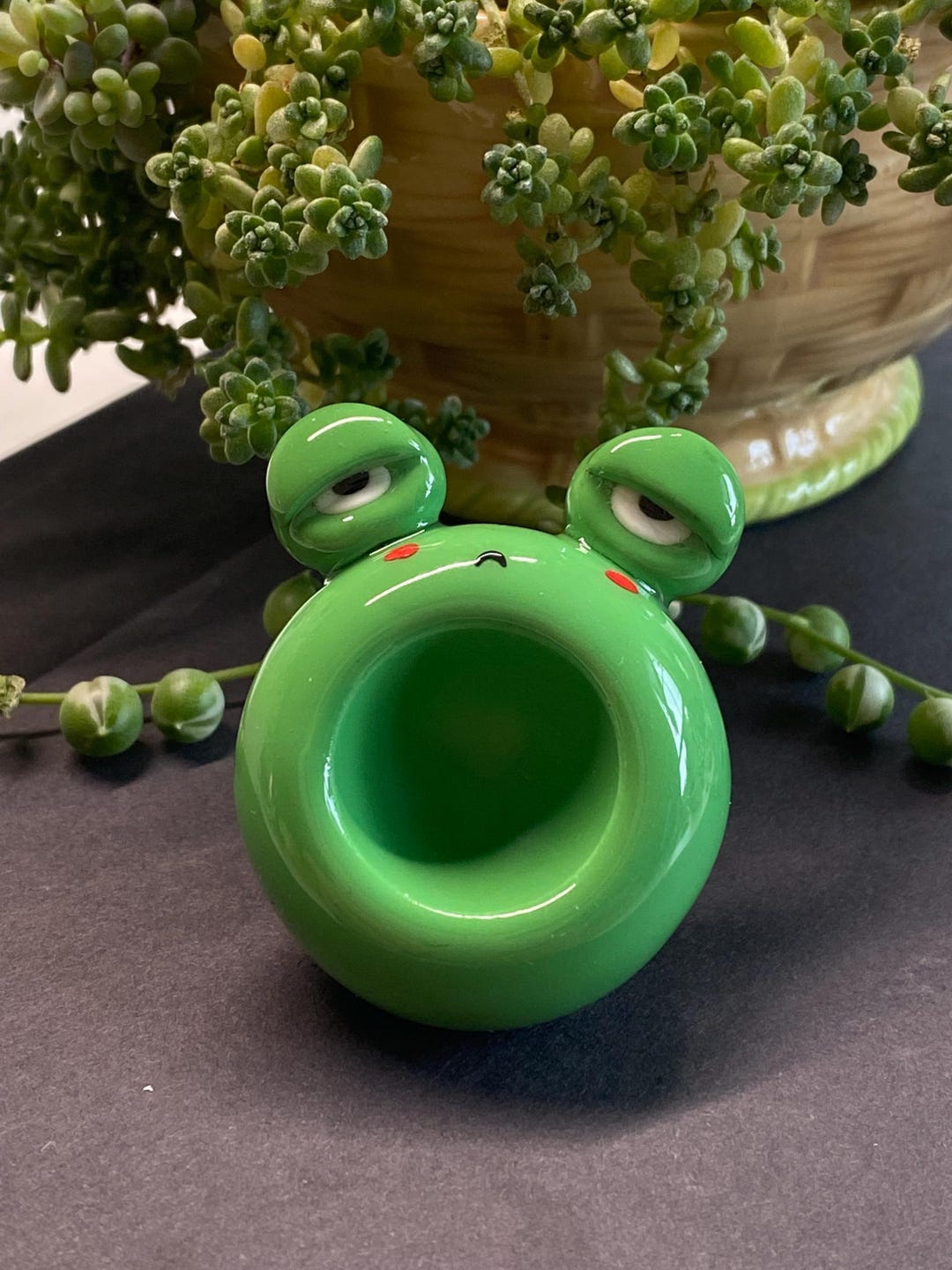 Dazed Frog Plant Pot, Pixie Succulent Pot, Mini Pot, Animal Themed ...