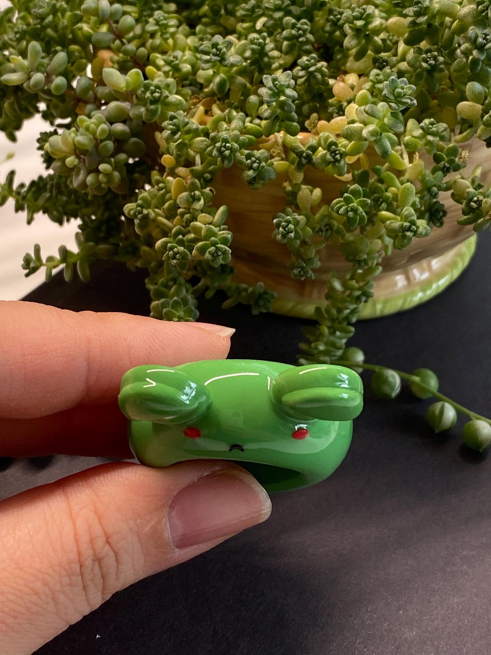 Dazed Frog Plant Pot, Pixie Succulent Pot, Mini Pot, Animal Themed ...