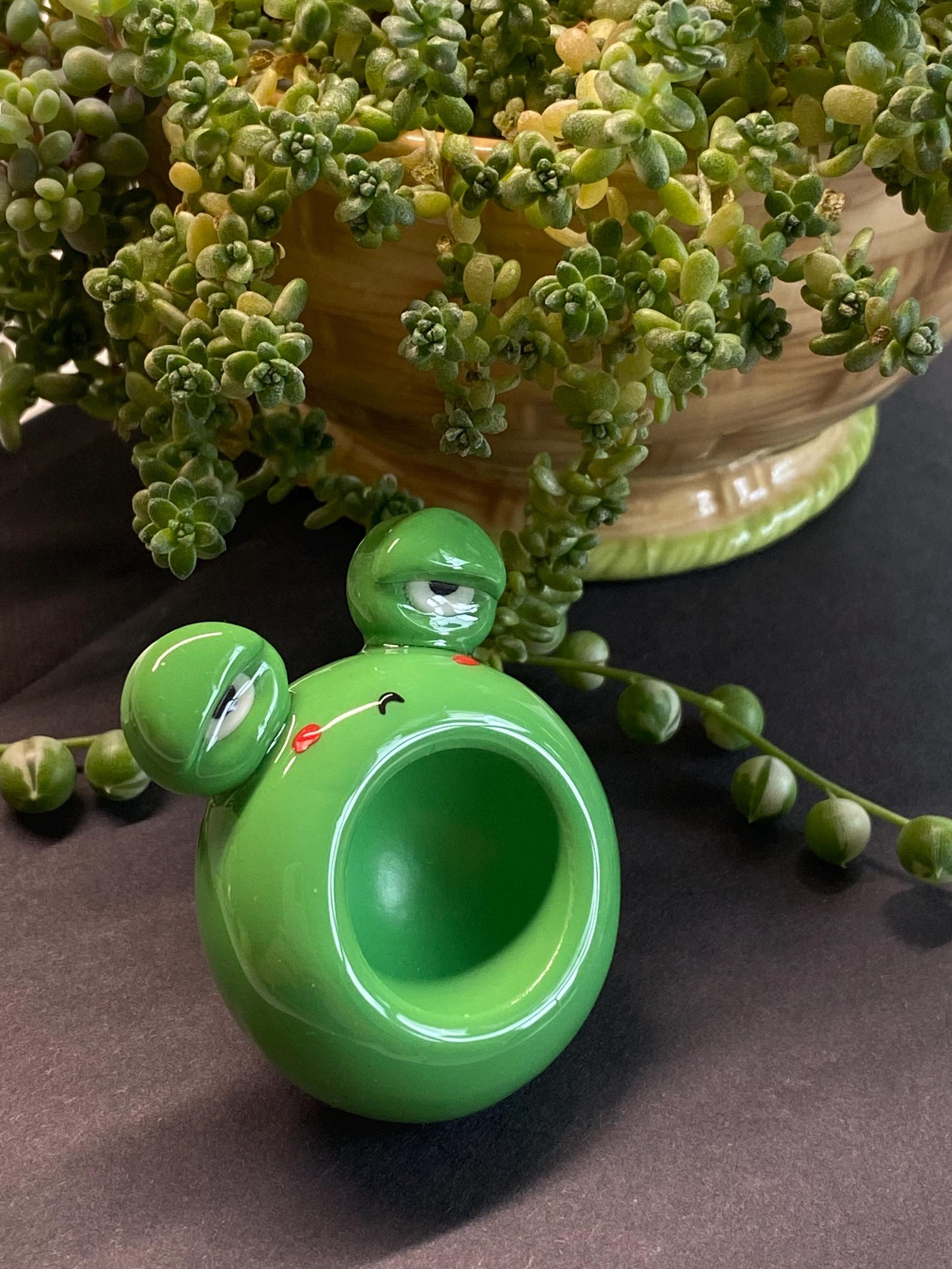 Dazed Frog Plant Pot, Pixie Succulent Pot, Mini Pot, Animal Themed ...