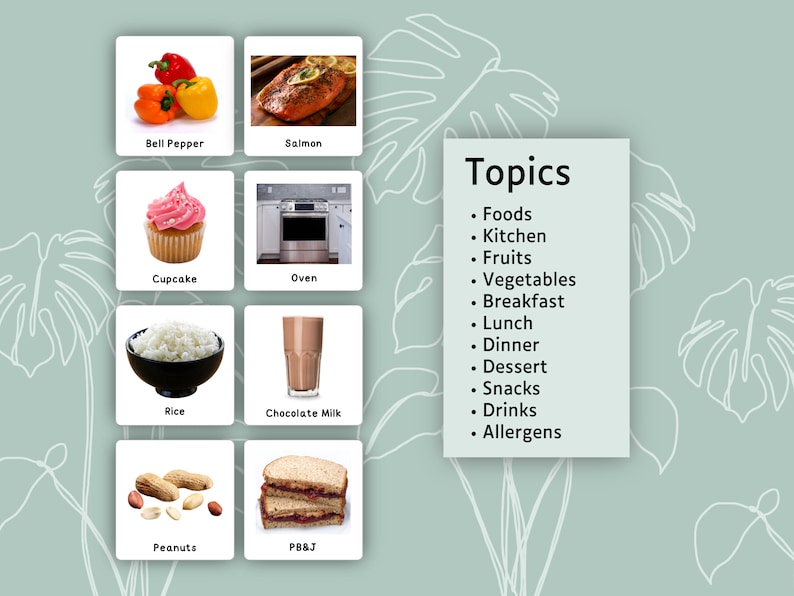 Food Flashcards for Visual Grocery List, Communication Cards for Non ...