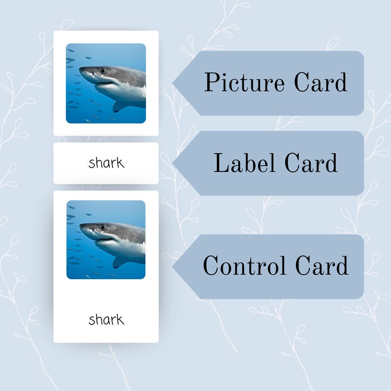 Ocean Animal Three Part Cards for Montessori Preschool Learning ...