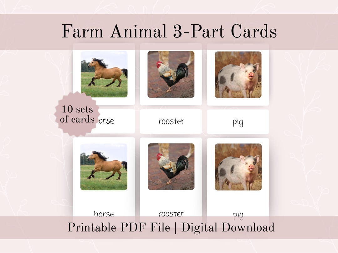 Farm Animal 3 Part Cards for Montessori Language Development | Picture ...