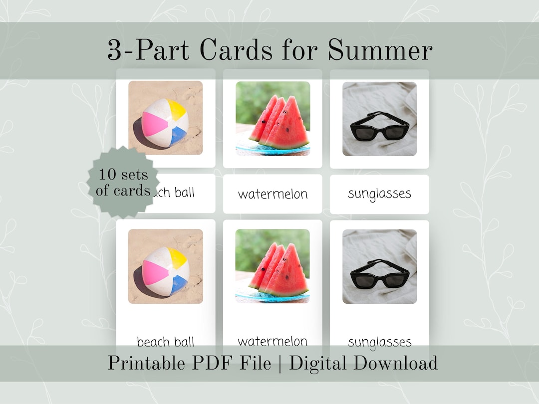 3 Part Montessori Flash Cards for Summer Themed Preschool Curriculum ...