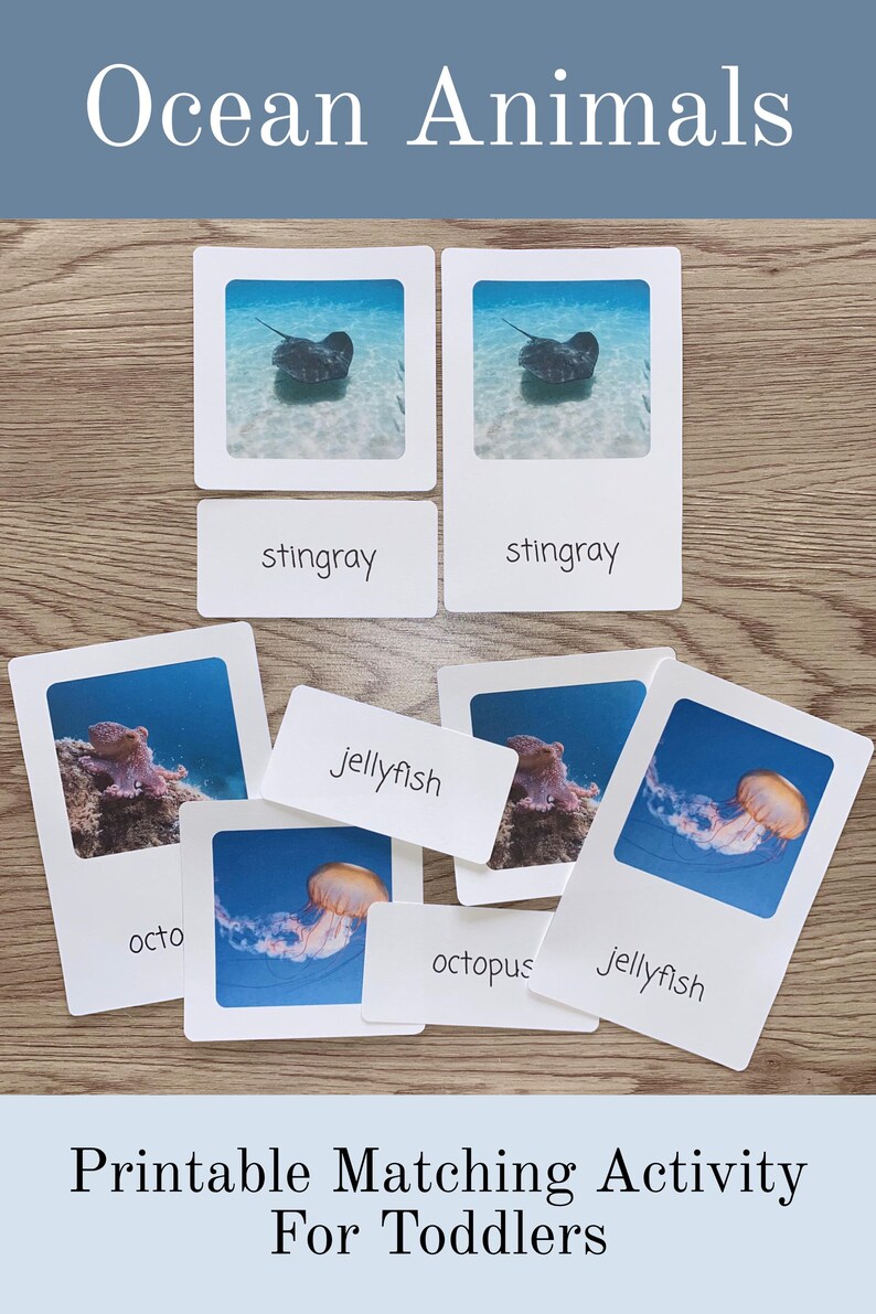 Ocean Animal Three Part Cards for Montessori Preschool Learning ...