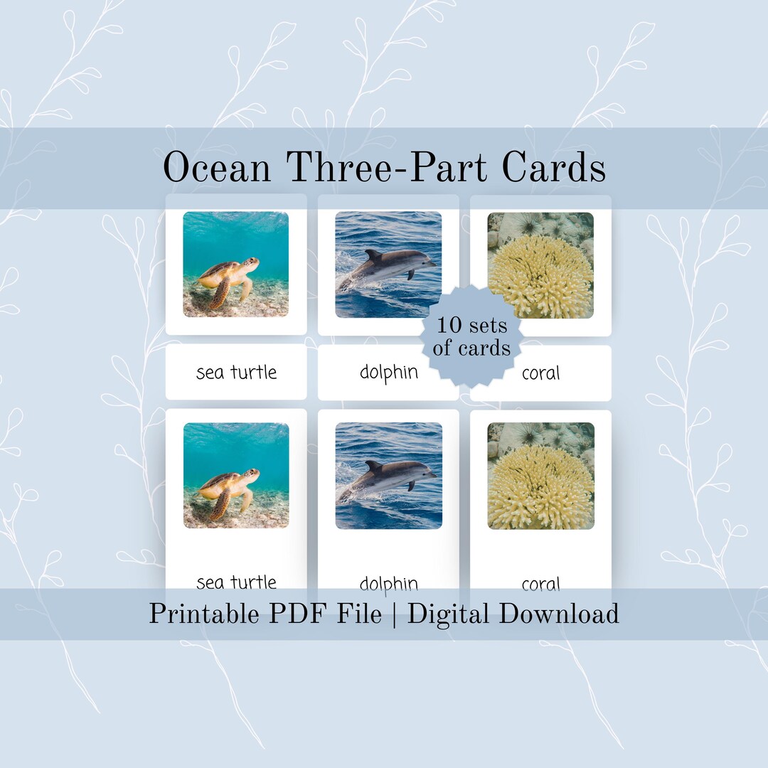 Ocean Animal Three Part Cards for Montessori Preschool Learning ...