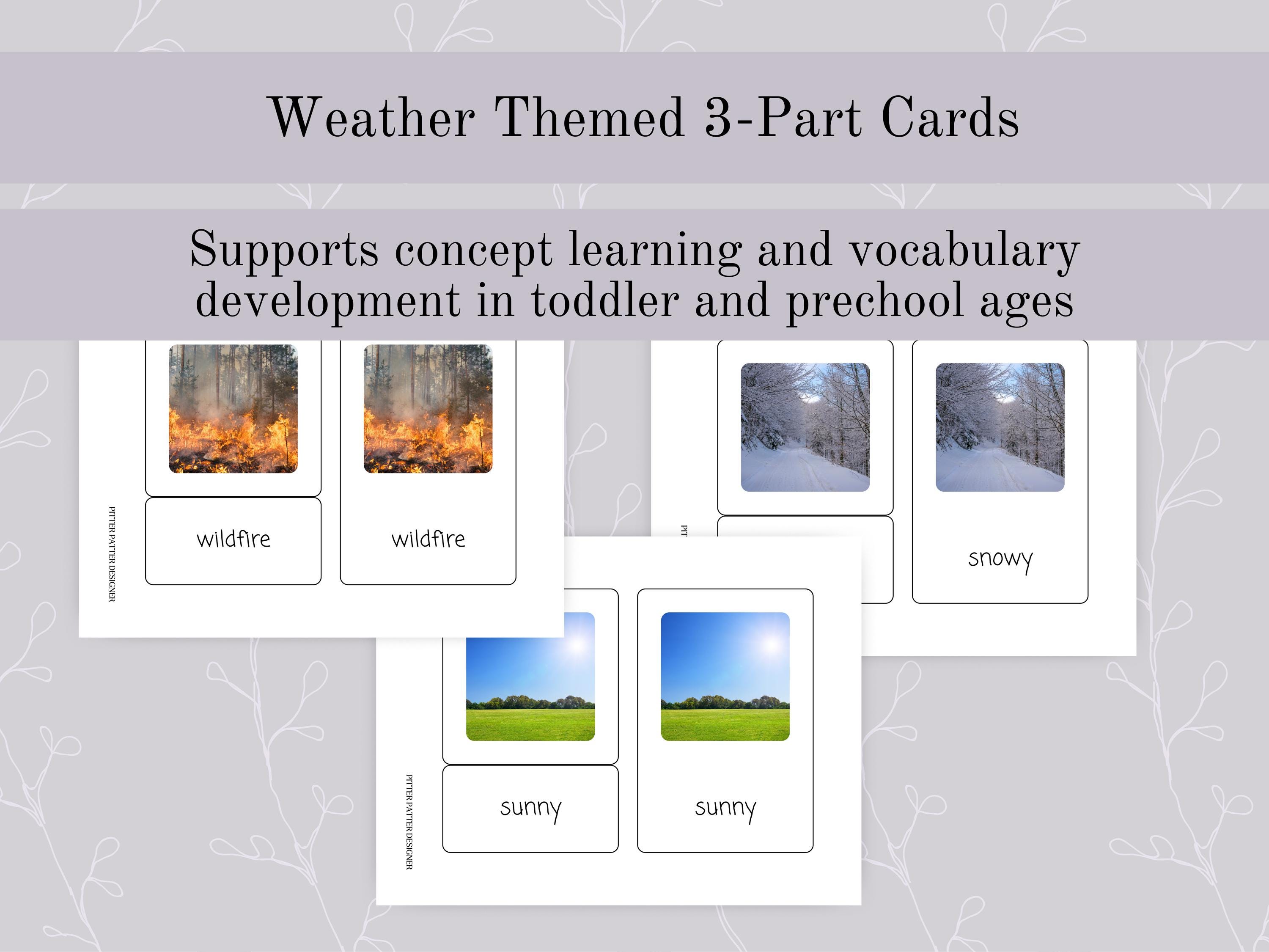 Weather Themed Montessori 3 Part Cards for Word and Picture Matching ...