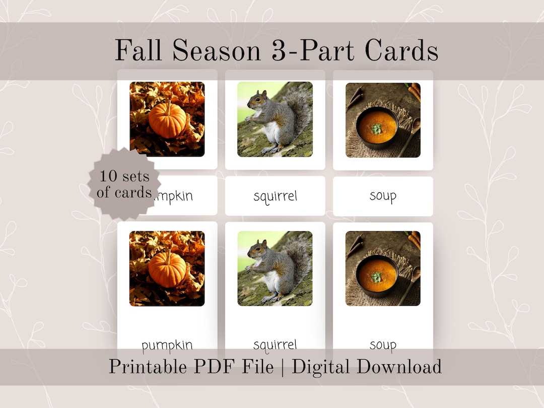 Fall Season 3 Part Cards for Montessori Language Material and Autumn ...