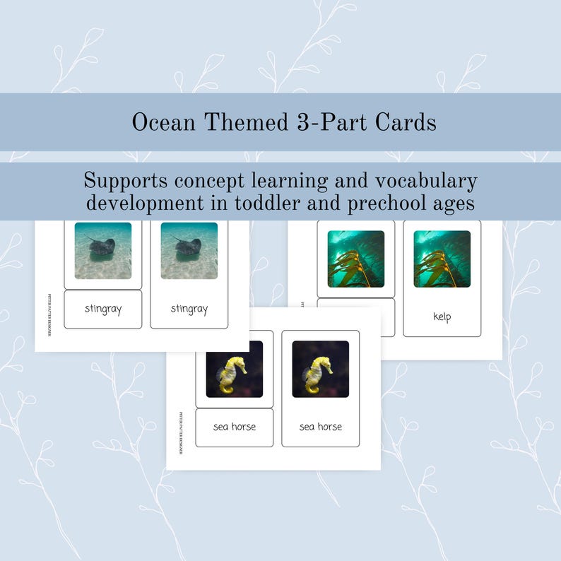 Ocean Animal Three Part Cards for Montessori Preschool Learning ...