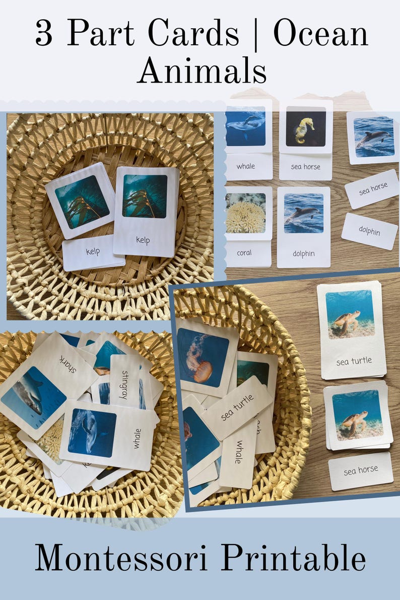 Ocean Animal Three Part Cards for Montessori Preschool Learning ...