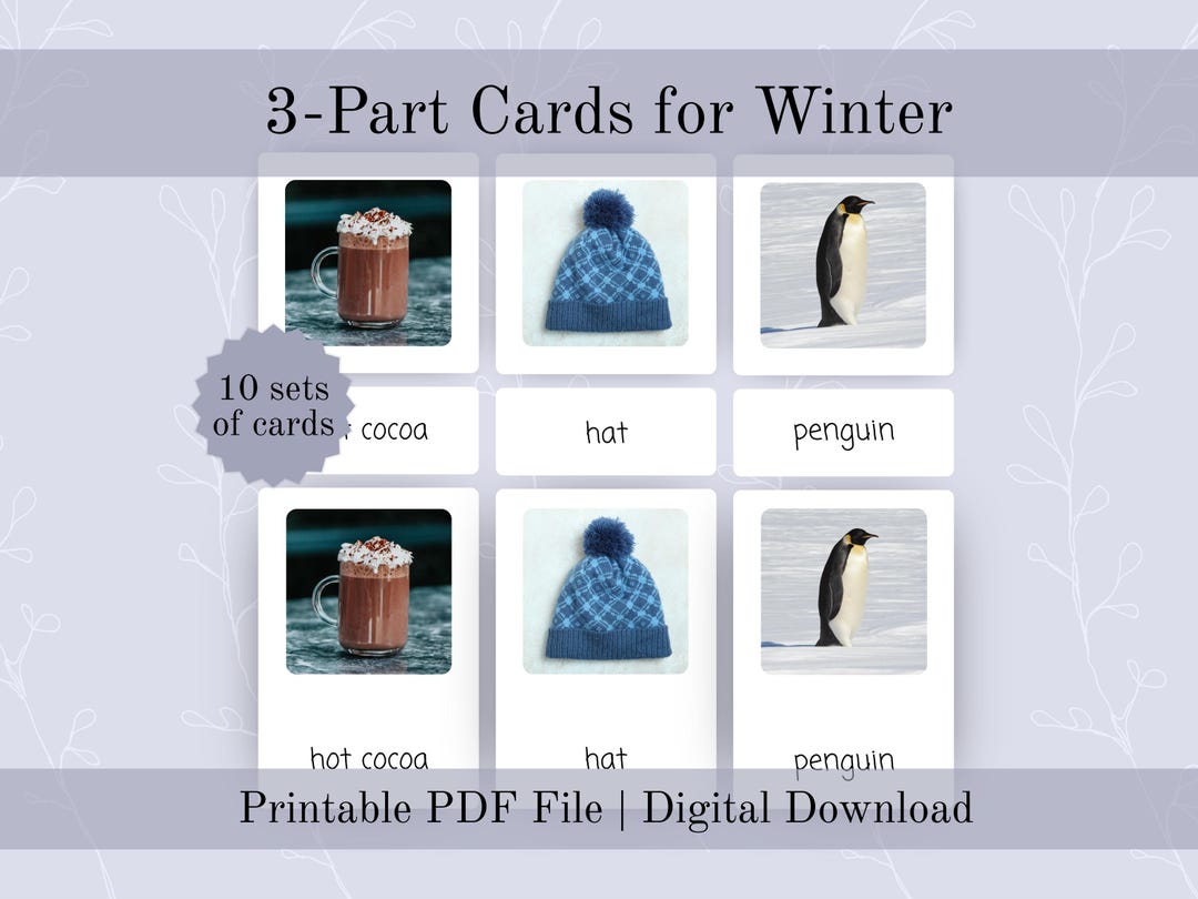 3 Part Cards for Winter Theme Preschool Lesson Plan and Curriculum ...