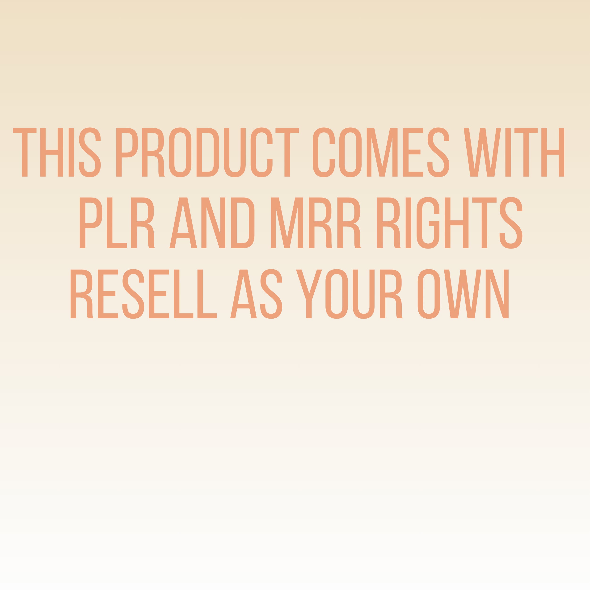 Stan Store Manual With MRR L Guide With Master Resell Rights MRR ...