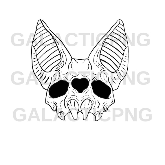 Visage De Chauve Souris Vampire Les Chauves Souris Vampires Boivent