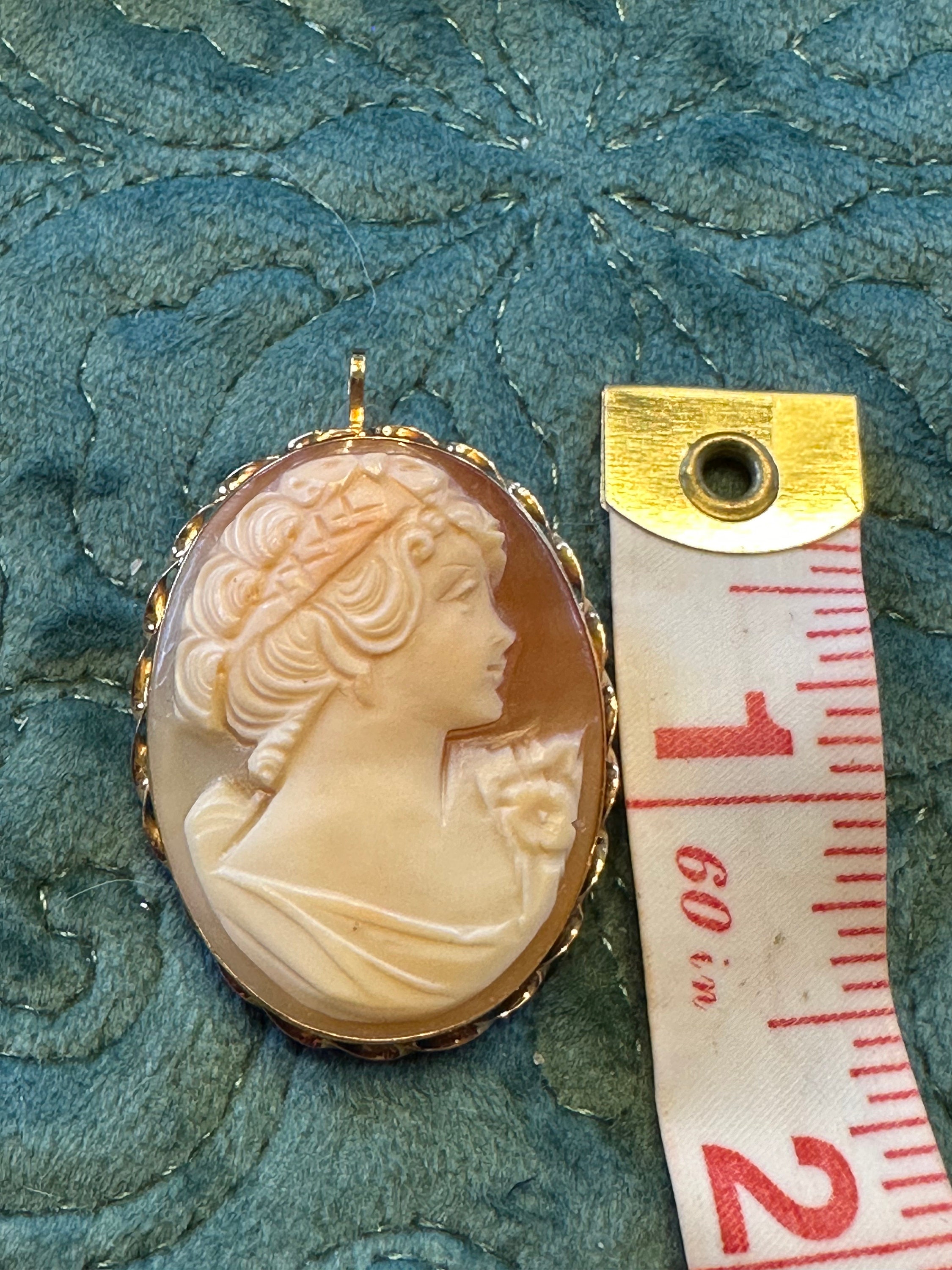 APA Italian Shell Cameo With 14kt Gold Frame Pin or Pendant - Etsy