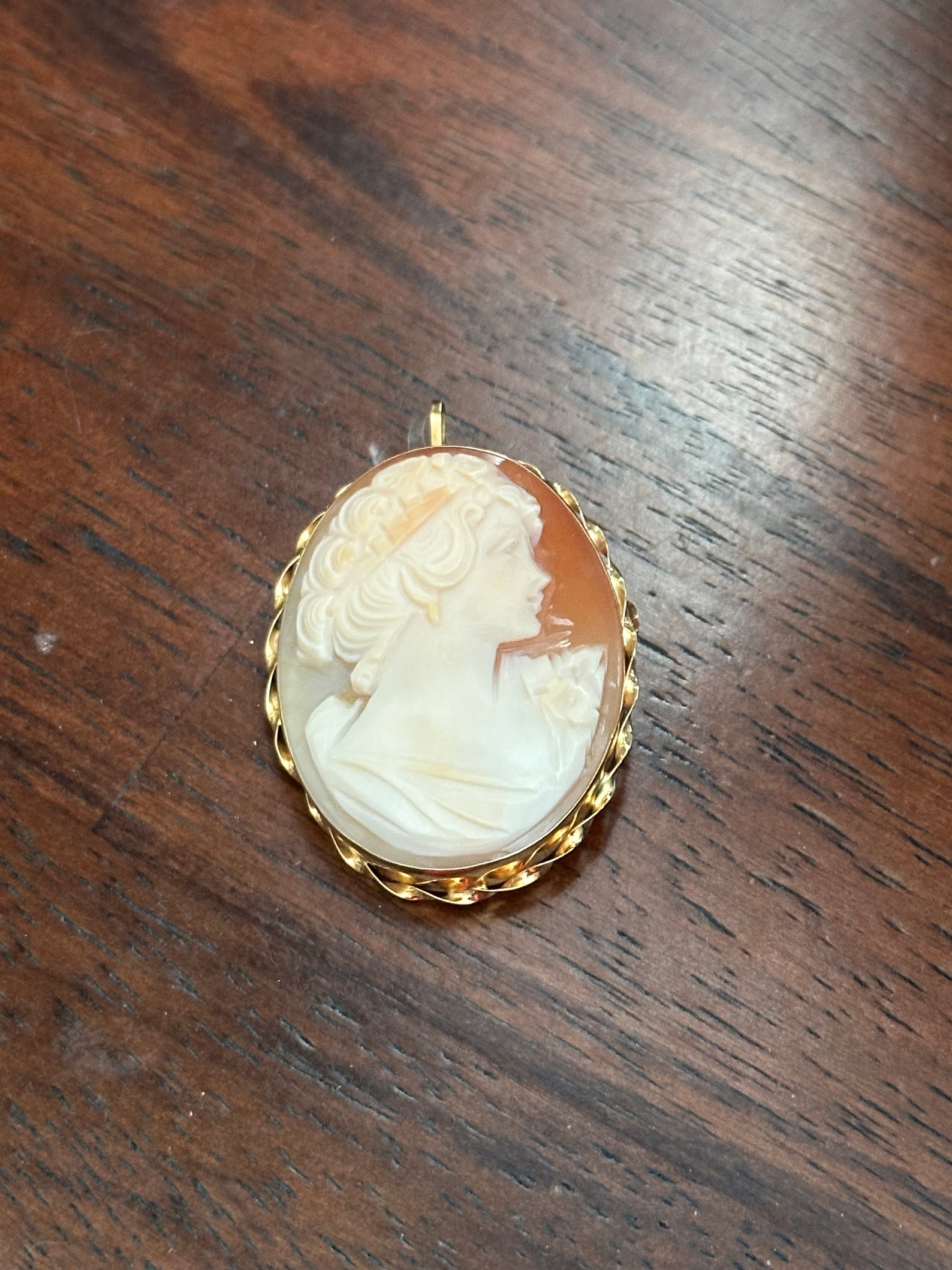 APA Italian Shell Cameo With 14kt Gold Frame Pin or Pendant - Etsy