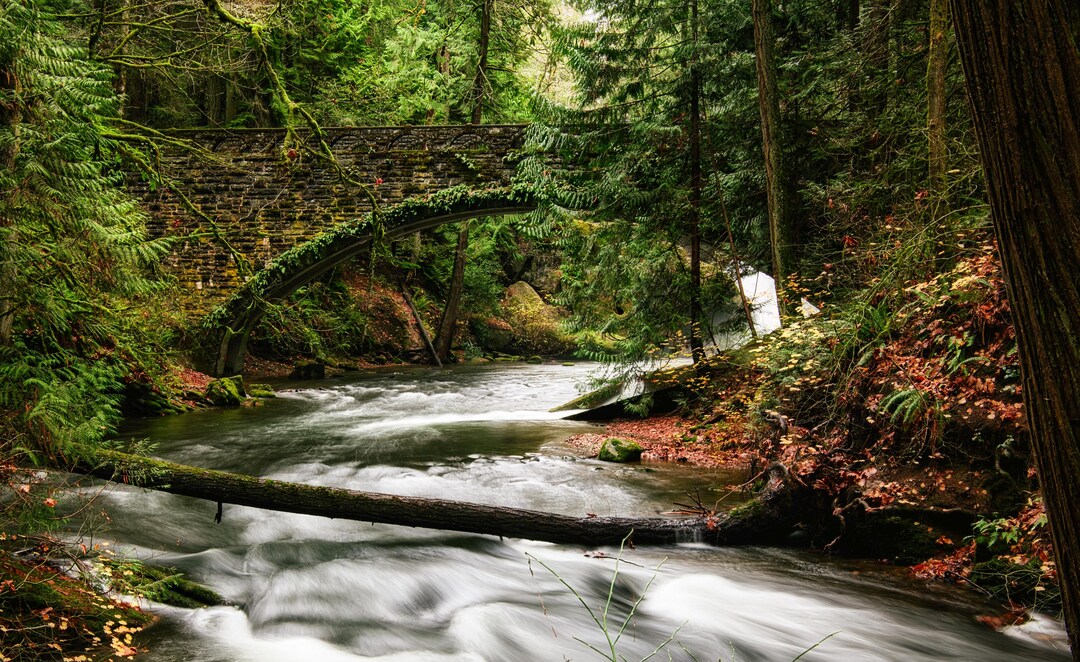 Stone Bridge, Whatcom Falls Park, Stream, Nature Photo, Landscape ...