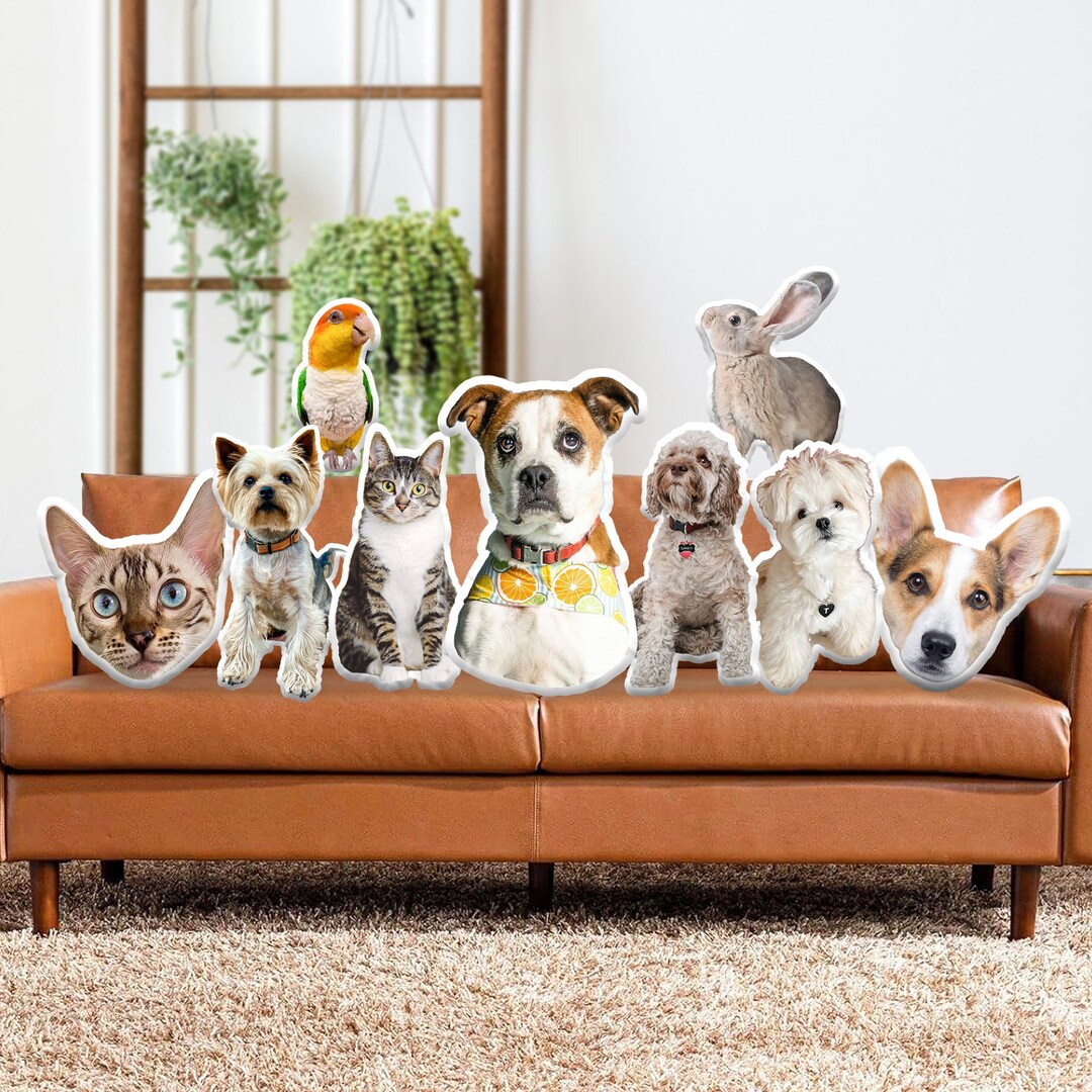 Custom 3D Pet Pillow From Photo | Personalized Dog/cat Shaped Throw ...