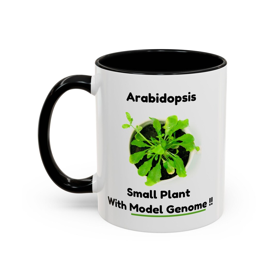 Arabidopsis Genome Mug. Bioinformatics, Plant Genomics, Genetics ...