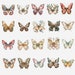 Boho Butterflies 40 PNG Clip Art Graphics - Etsy
