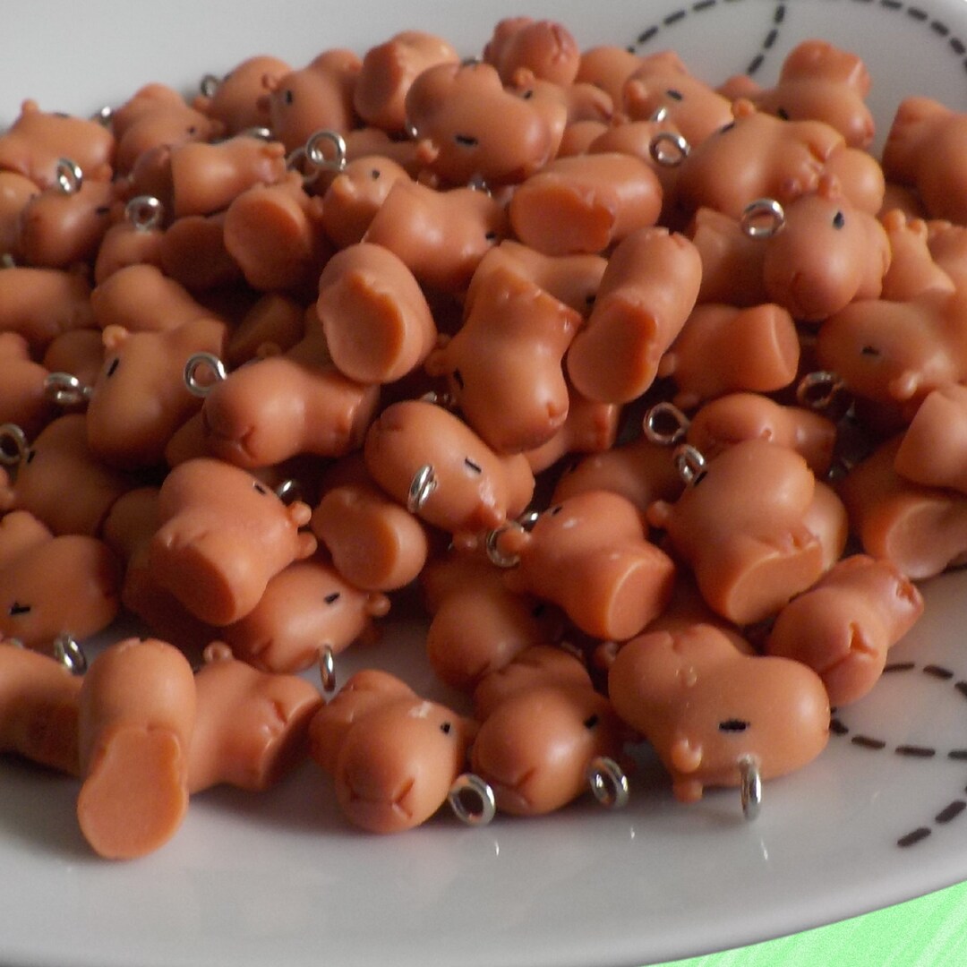 3D Capybara Resin Charms Kawaii Animal Capybara Pendant Earring DIY ...