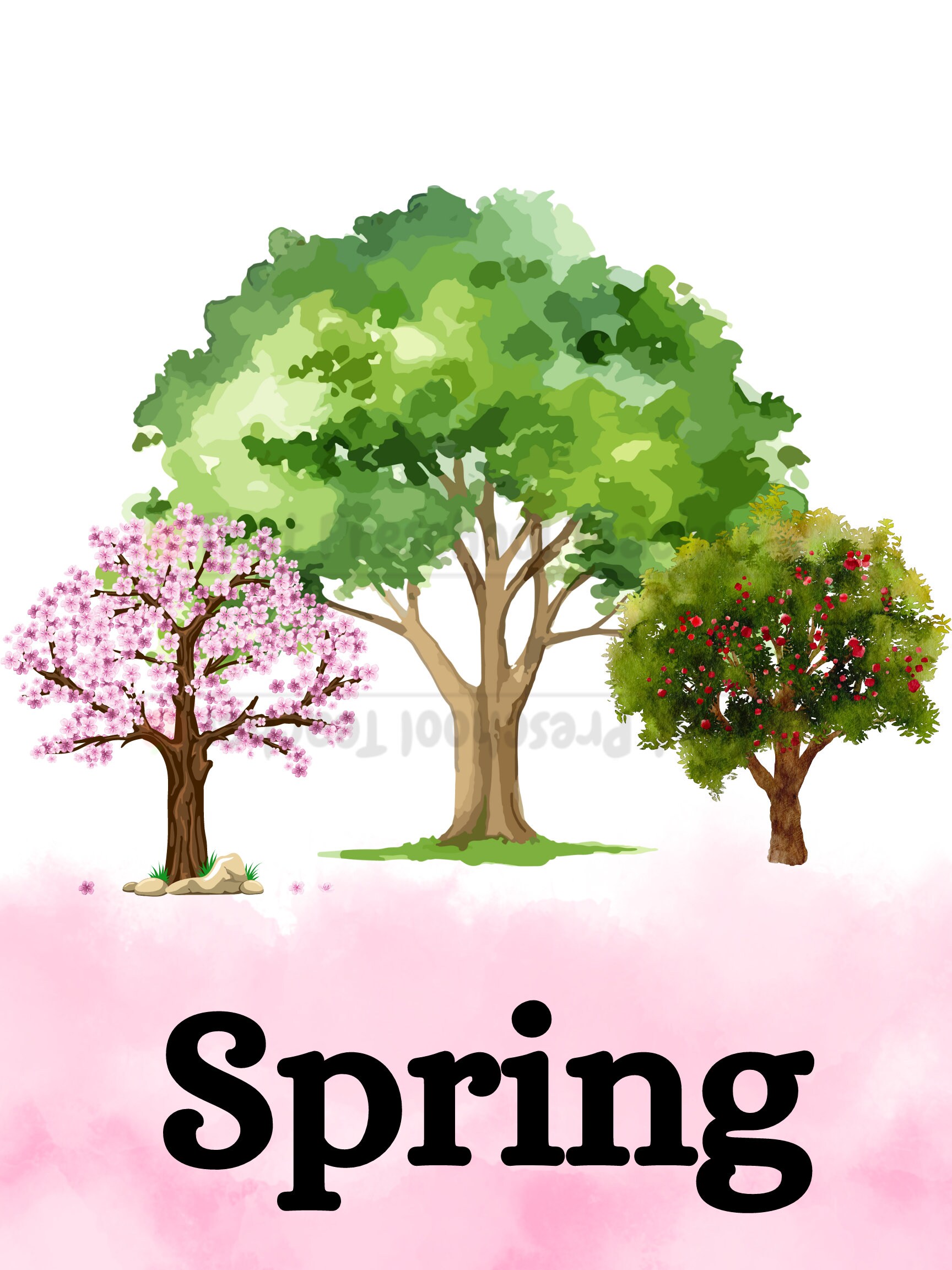 Watercolor Seasons Classroom Posters Set | Educational Wall Art for ...